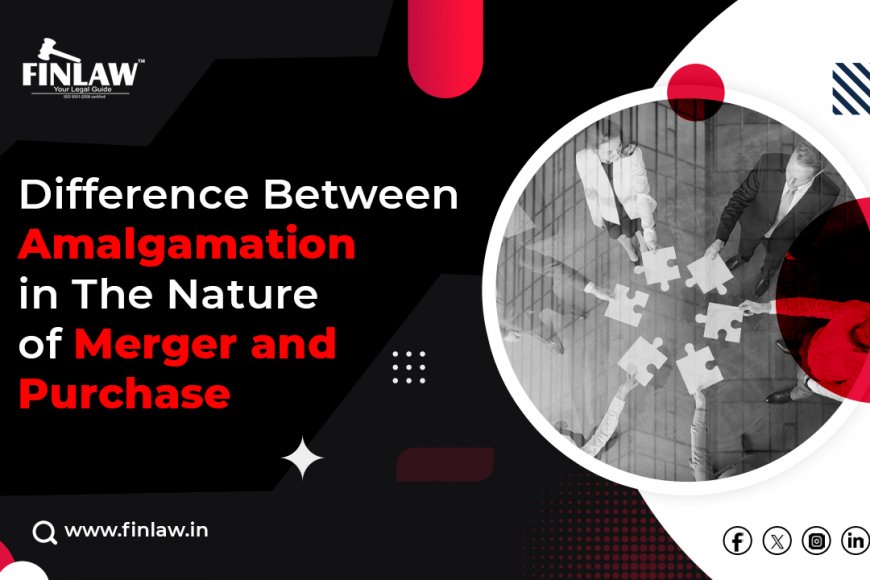 Difference Between Amalgamation in the Nature of Merger and Purchase - Blog